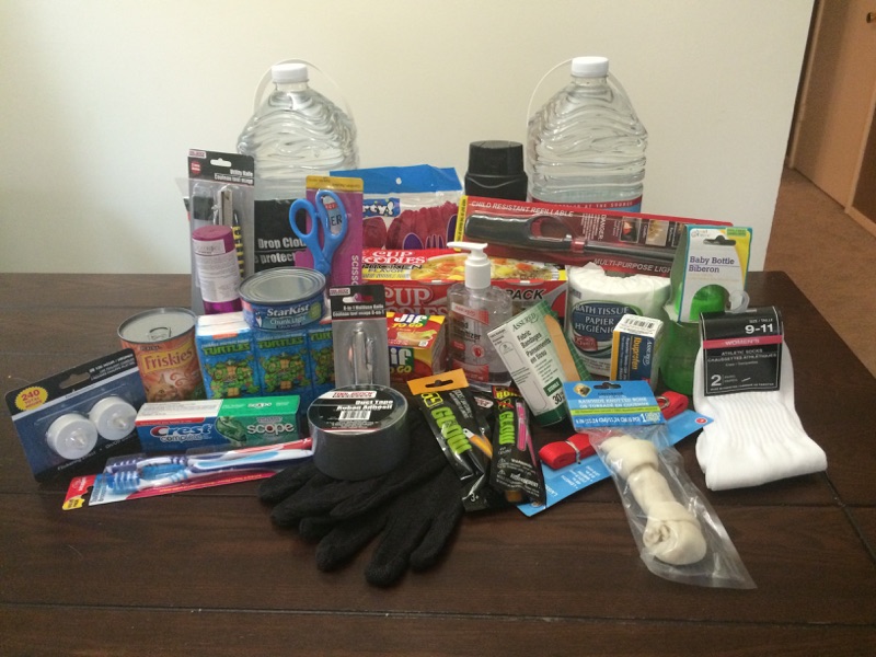 Disaster On A Dollar: The Dollar Store Emergency Kit Challenge! – Red ...