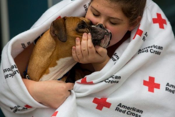 Keeping Pets and Owners Together in Wake of the Ferguson Fire – Red ...